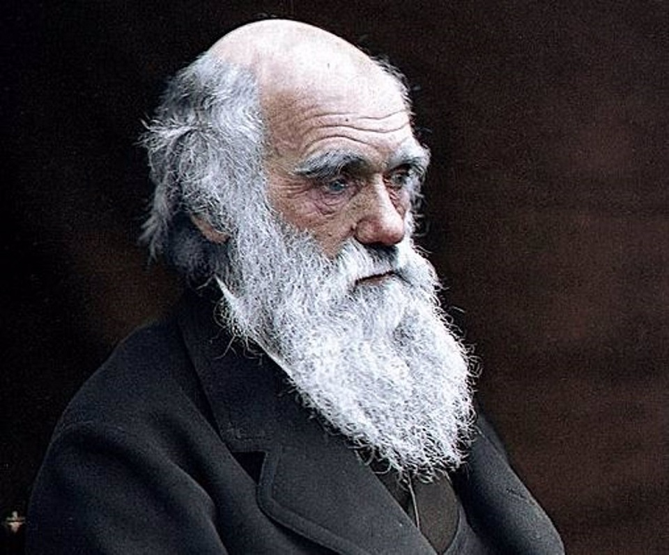 Se cumplen 139 años de la muerte de Darwin. Su pensamiento en 8 citas ...